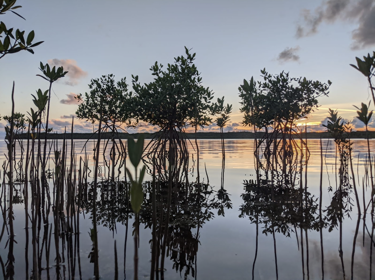 Partner Profile: Center for Coastal Climate Resilience, UC Santa Cruz ...