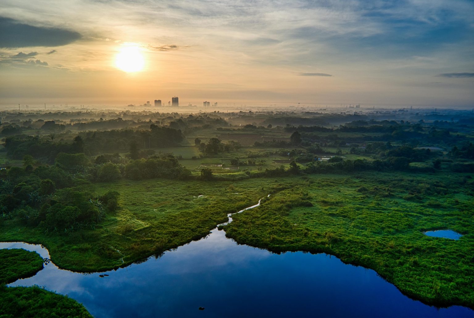 Biohabitats - NETWORK FOR ENGINEERING WITH NATURE