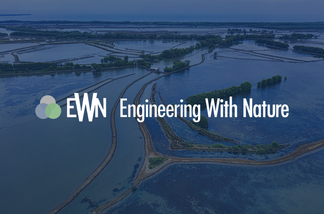 Partner Takeover: USACE Engineering With Nature - NETWORK FOR ...