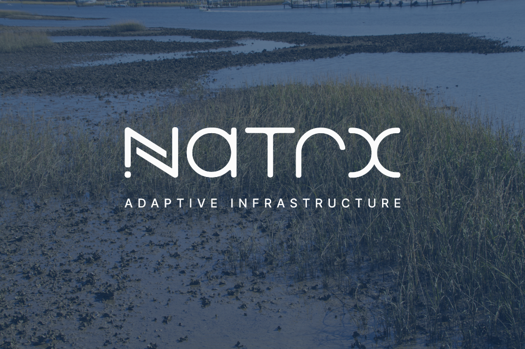 Partner Takeover: Natrx - NETWORK FOR ENGINEERING WITH NATURE
