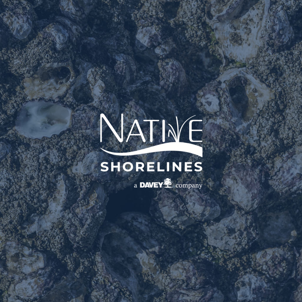 Partner Takeover: Native Shorelines - NETWORK FOR ENGINEERING WITH NATURE